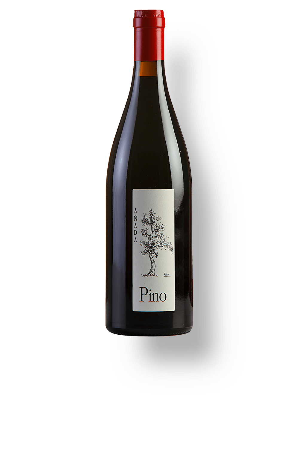 Ponce Pino - worldwine